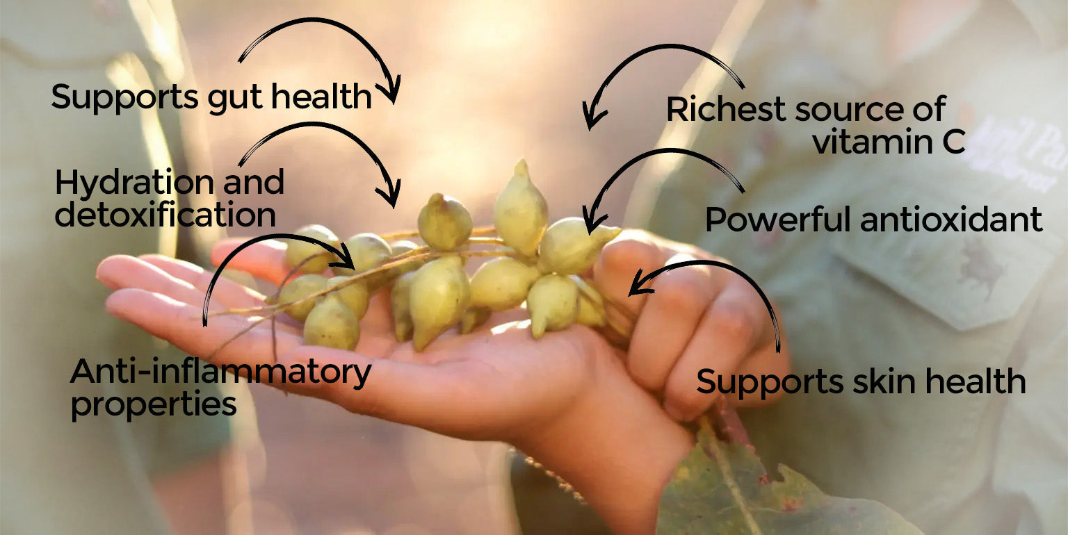Gut Health APEX Natural Gut Health Supplement Powered by Kakadu Plum ...