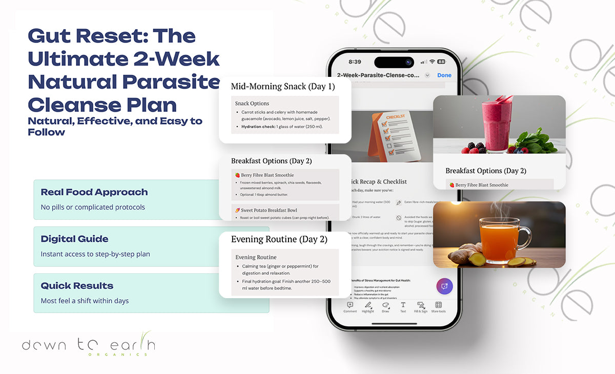 Gut Reset: The Ultimate 2-Week Natural Parasite Cleanse Plan - Natural ...